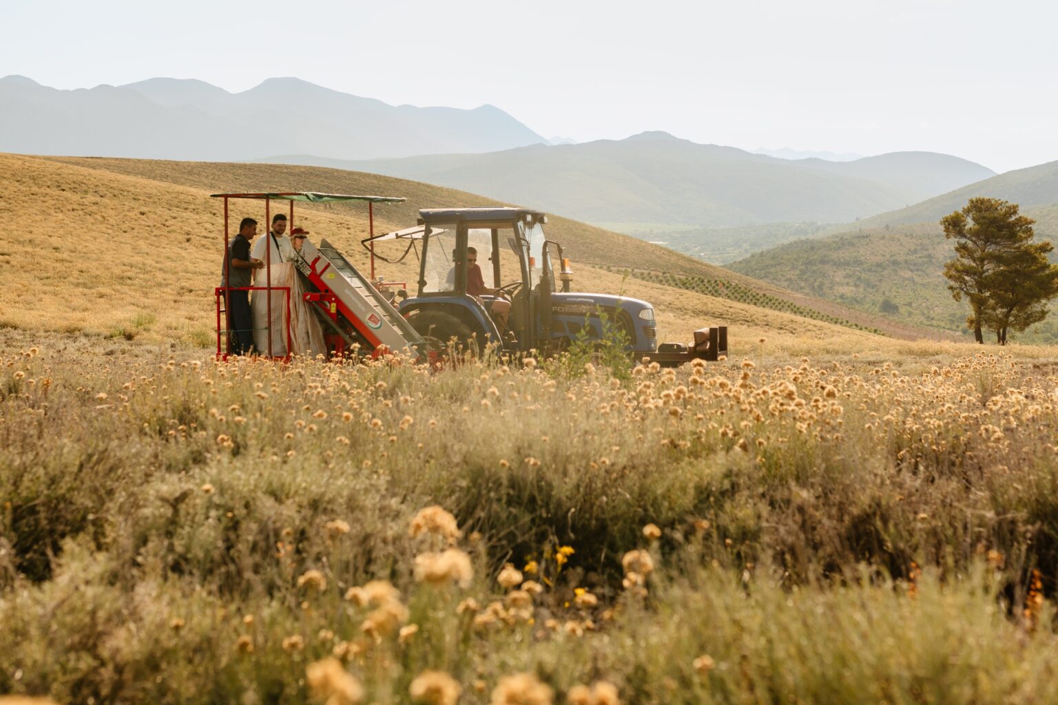 Admir Rahimić: Od hercegovačkog krša do svjetskog tržišta – Kako ...